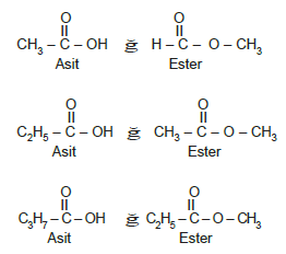 Esterler | Bilgicik.Com