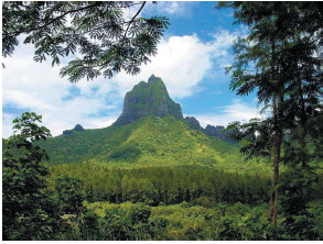 Değişik Yerler, Farklı Hayatlar | Bilgicik.Com